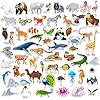 Amazon.com: SpriteGru 59 PCS Zoo Animal Zoo Magnets for Toddlers Kids ...