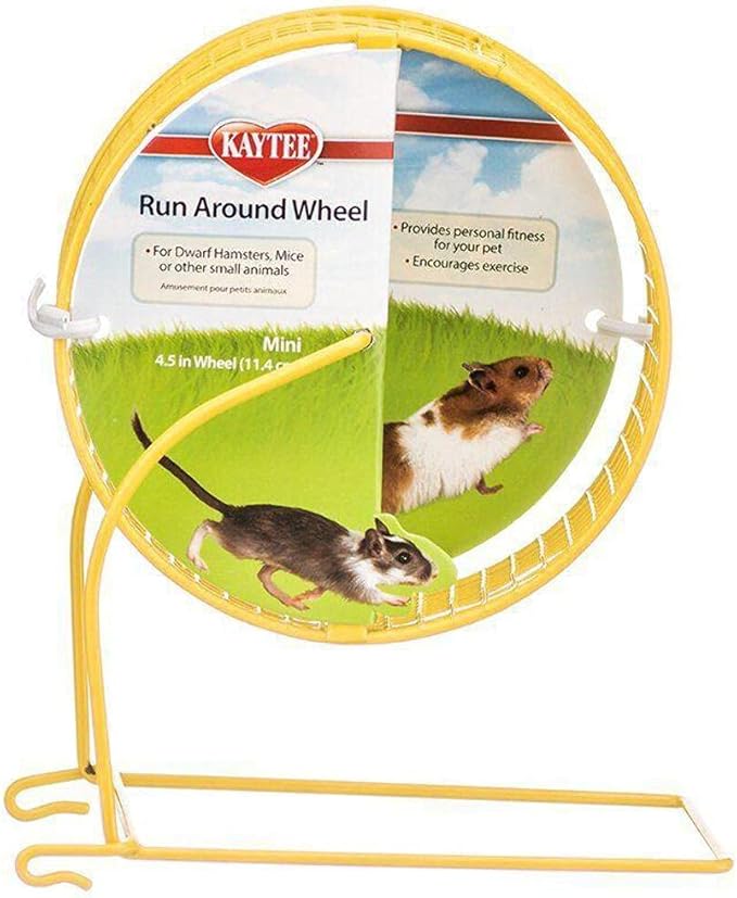 Amazon.com: Kaytee Run-Around Exercise Wheel, Mini, 4.5", Colors Vary ...