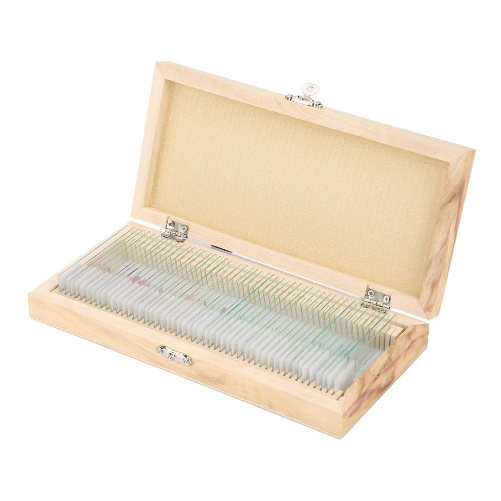 Microscope Slide, 50 Piece Mixed English Label Microscope Slide Plant ...