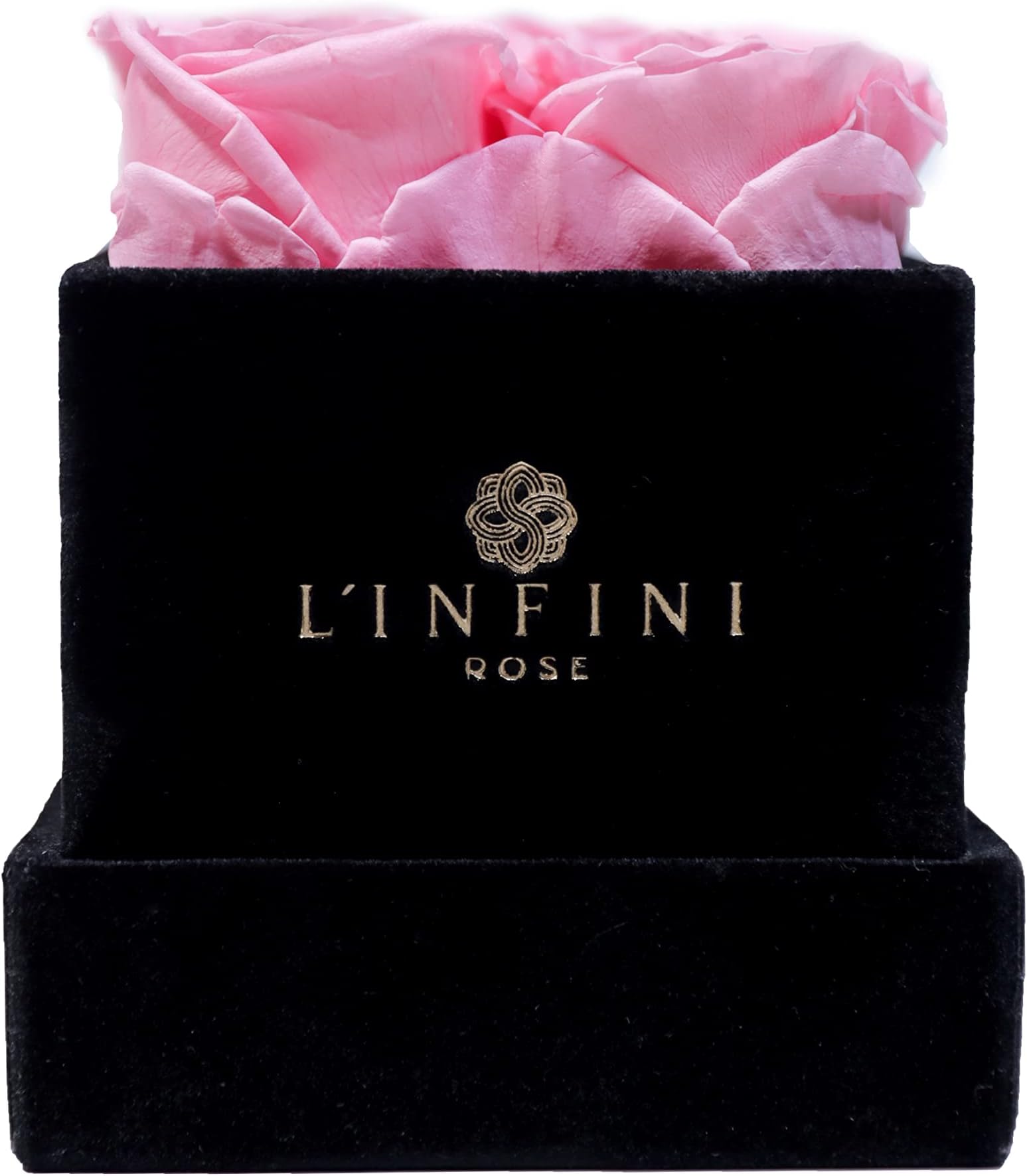 Amazon.com: Preserved Pink Real Rose with Necklace Forever Flowers ...