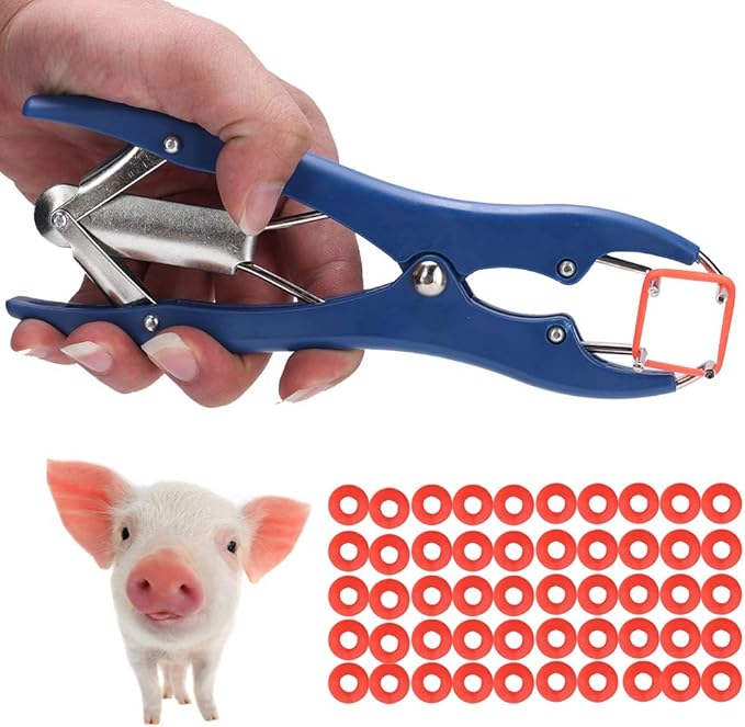 Castration Pliers Metal Castration Banding Tail Forceps Pig Cattle ...
