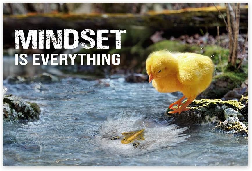 Amazon.com: Mindset is Everything Poster Art Funny Cat Illustration ...