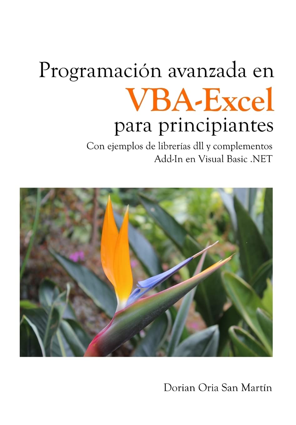 Programacion avanzada en VBA-Excel para principiantes: Con ejemplos de ...