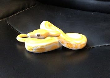 Amazon.com: UANDME 8pcs Fake Snakes Toy Figurines Realistic Fake Snake ...