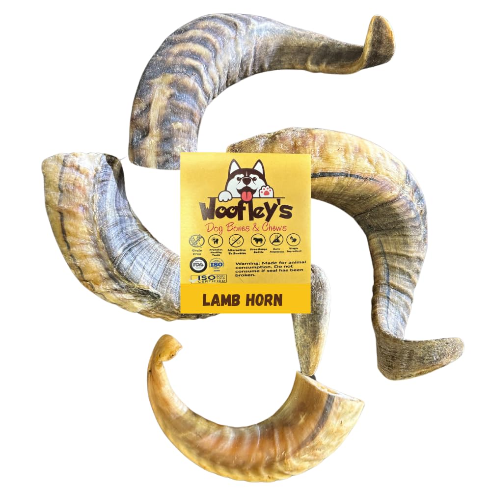 Amazon.com : Woofley's Lamb Horn (2 Count) Lamb Horn Antler Dog Chews - Horn Bones for Dogs ...