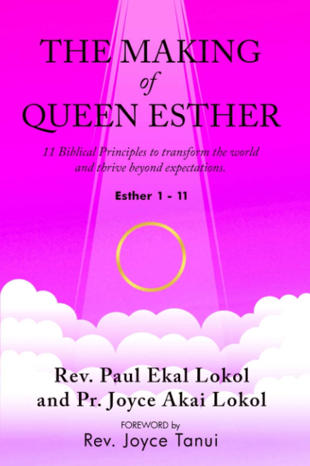 The Making of Queen Esther: 11 Biblical principles to transform the ...