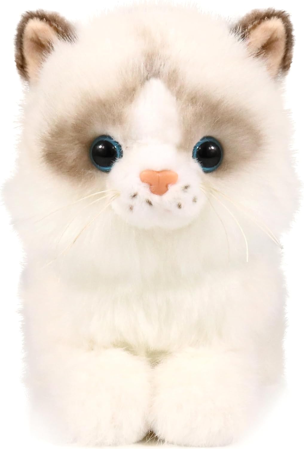 Ice King Bear Little Ragdoll Cat Stuffed Animal Philippines | Ubuy