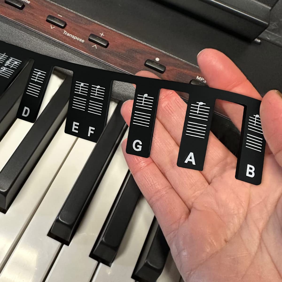 Snapklik.com : Piano Keyboard Note Labels Piano Notes Guide For ...