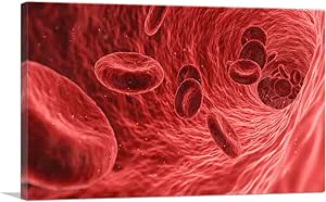 Amazon.com: ARTCANVAS Red Blood Cells Medical Hospital Doctor Office ...