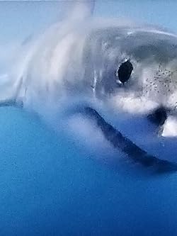 Xumo Play:Amazon.com:Appstore for Android