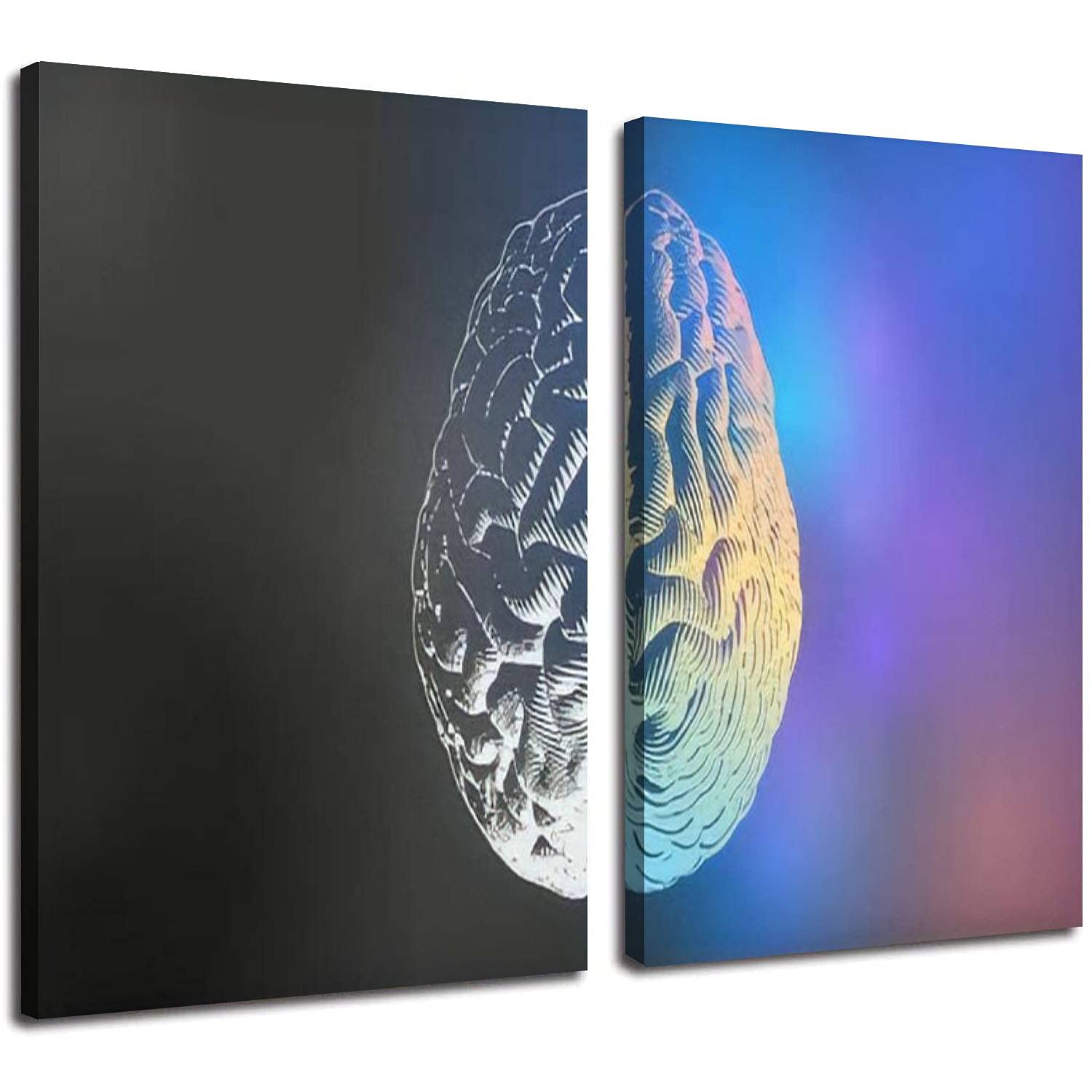 Drawings From The Top Brain