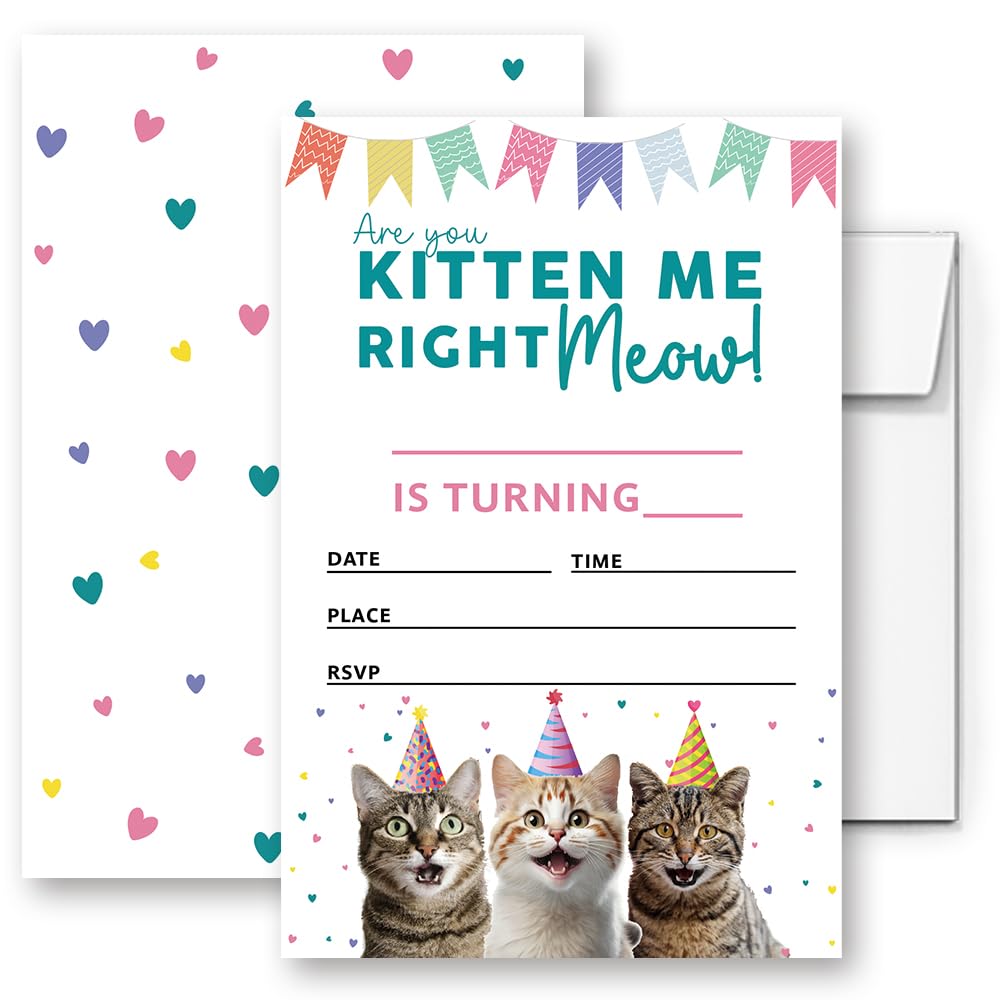 Funny Cat Birthday Invitations Are You Kitten Me Right Meow Birthday