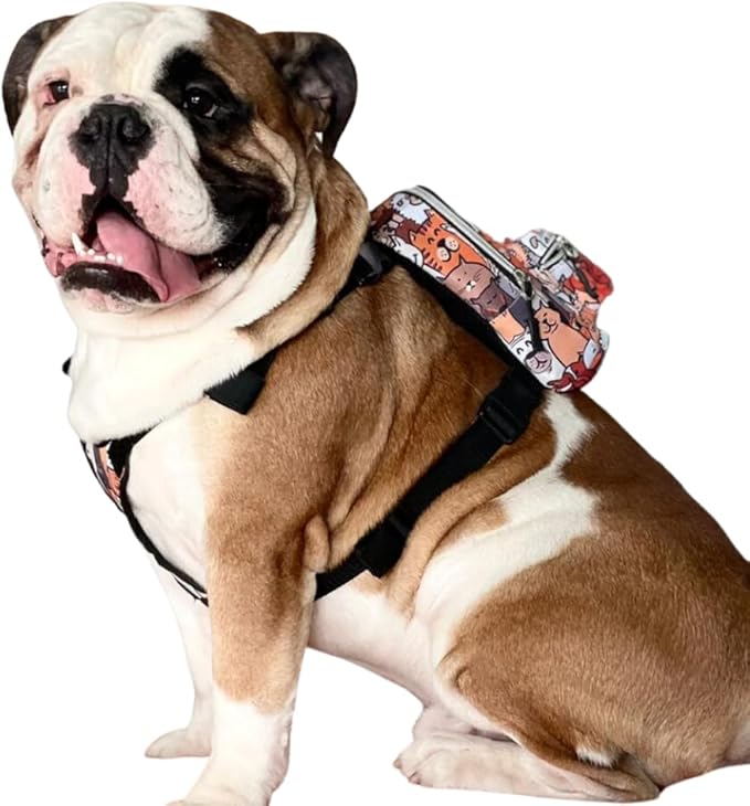 Amazon.com : PawLook Design Dog Backpack Harness with Leash-Stylish ...