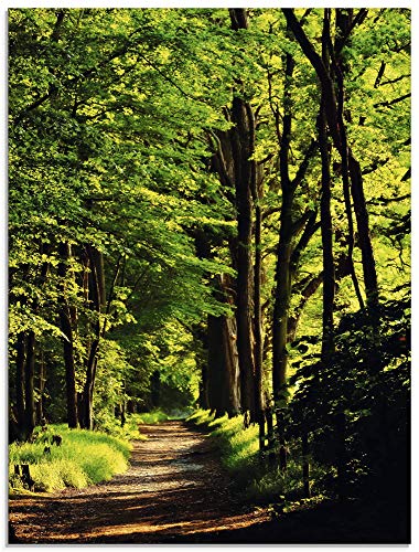 Bild Wald Hochformat – Die 15 besten Produkte im Vergleich - Elternchecker