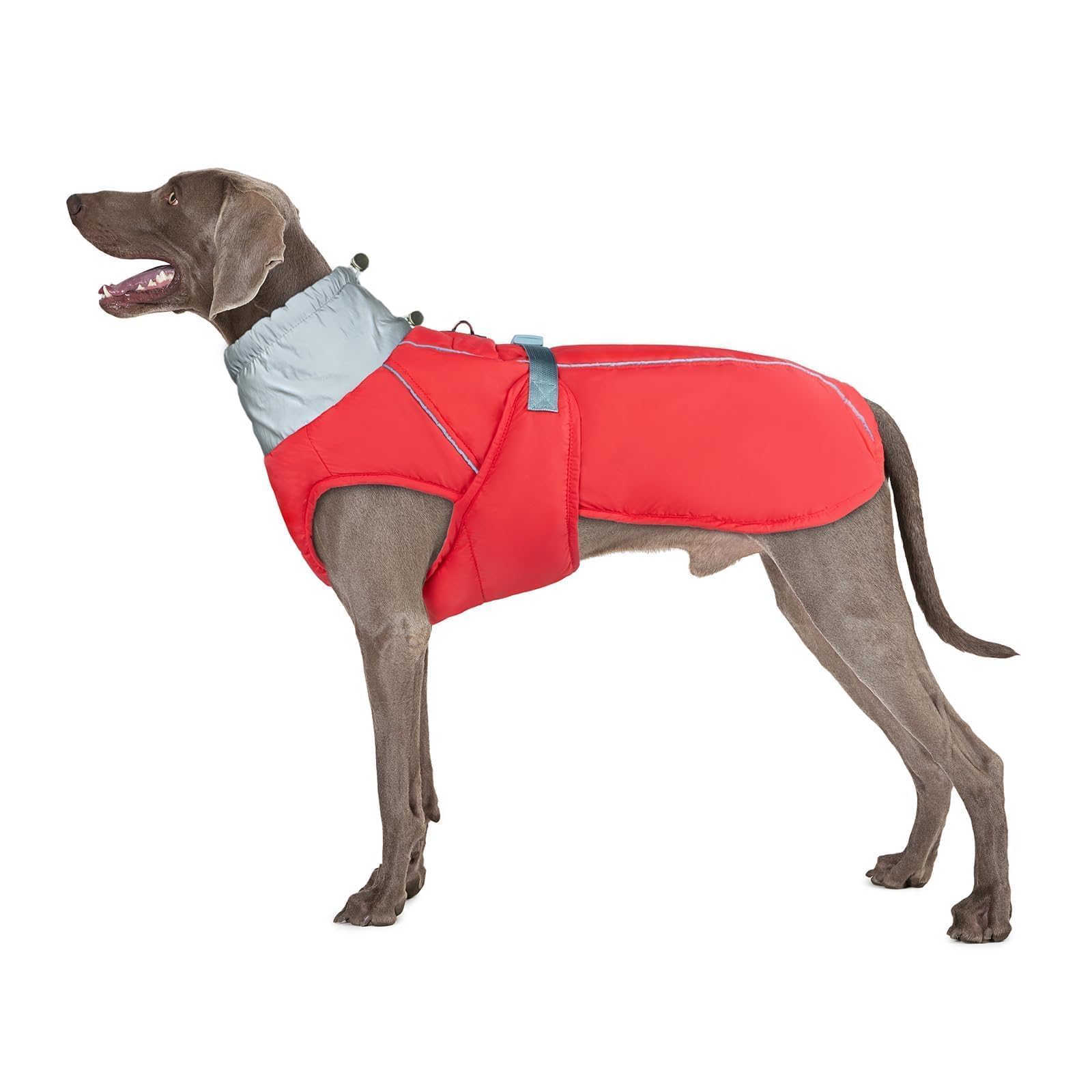 Amazon.com : NACOCO Warm Dog Winter Coat - Padded Fleece Dog Jacket ...