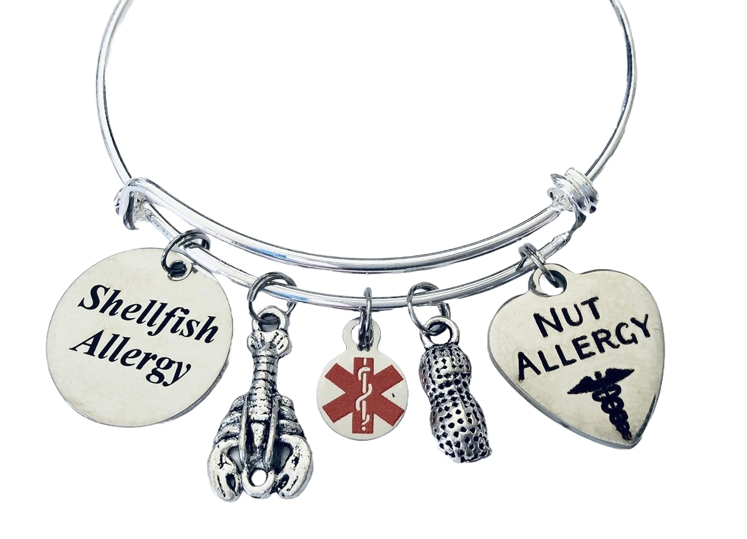 Amazon.com: Shellfish and Nut Allergy Medical Alert Expandable Charm ...