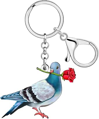 LONYOO Acrylic Cute Pigeon Keychain Dove Key Chain Accessories Bird ...