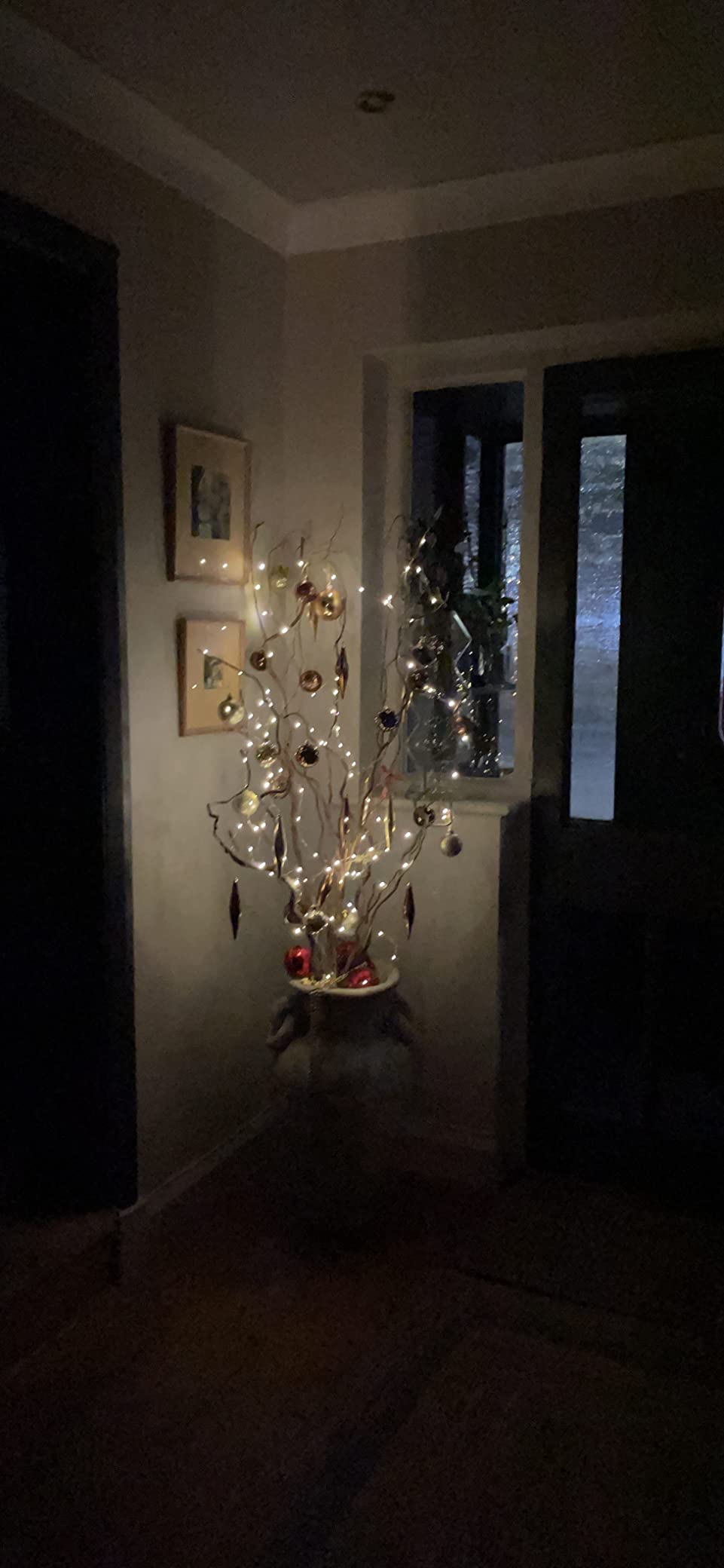 Toifucos LED Fairy String Lights, 1Pack 5m/16.4ft 50LED Fairy String ...