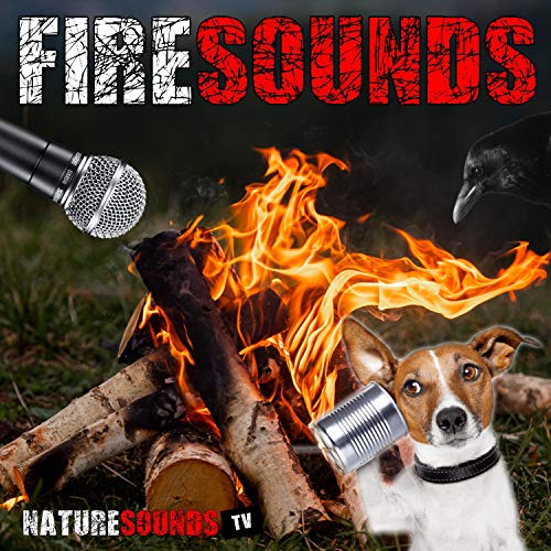 Amazon.com: Fire Sounds : Nature Sounds TV: Digital Music