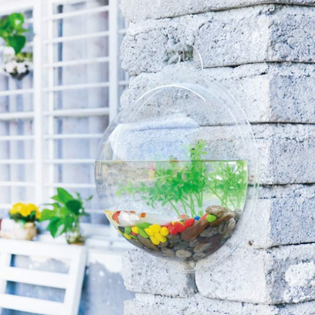 Amazon.com: Shuohu Glass Wall Mounted Hanging Fish Tank | Aquarium ...