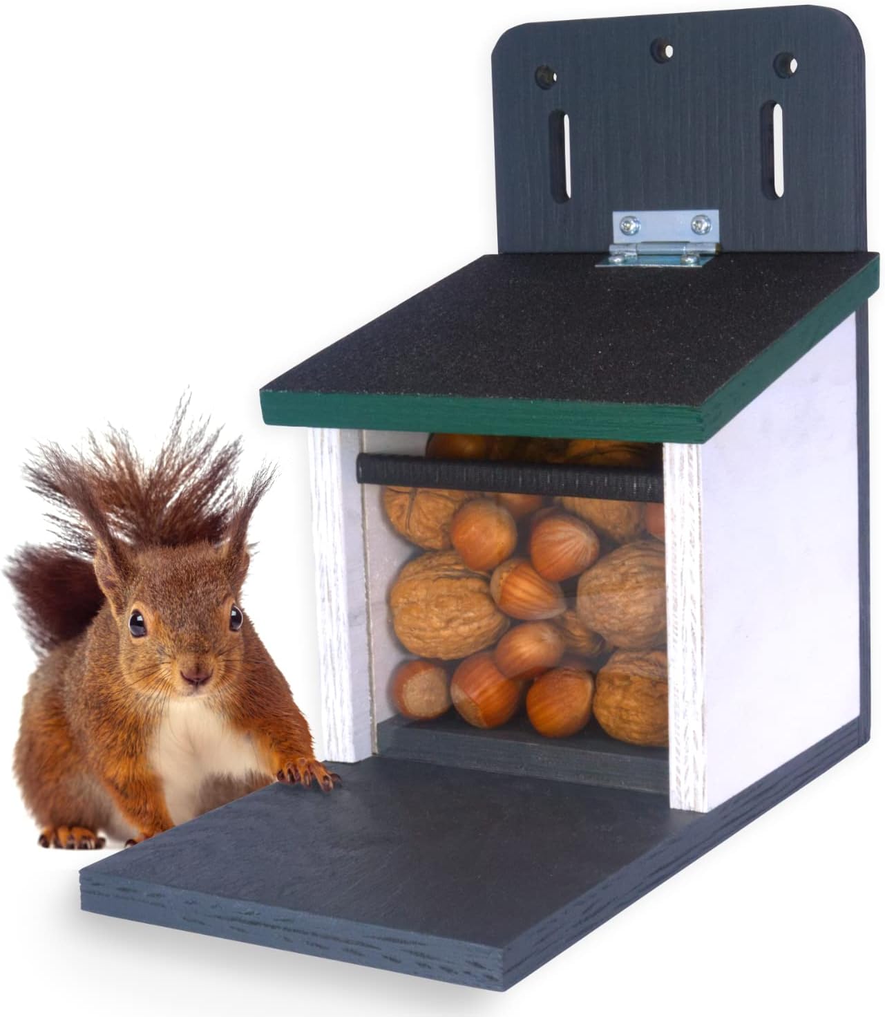 Wildlife World Wooden Squirrel Feeder and Feeding Box with Lift-Up Lid ...