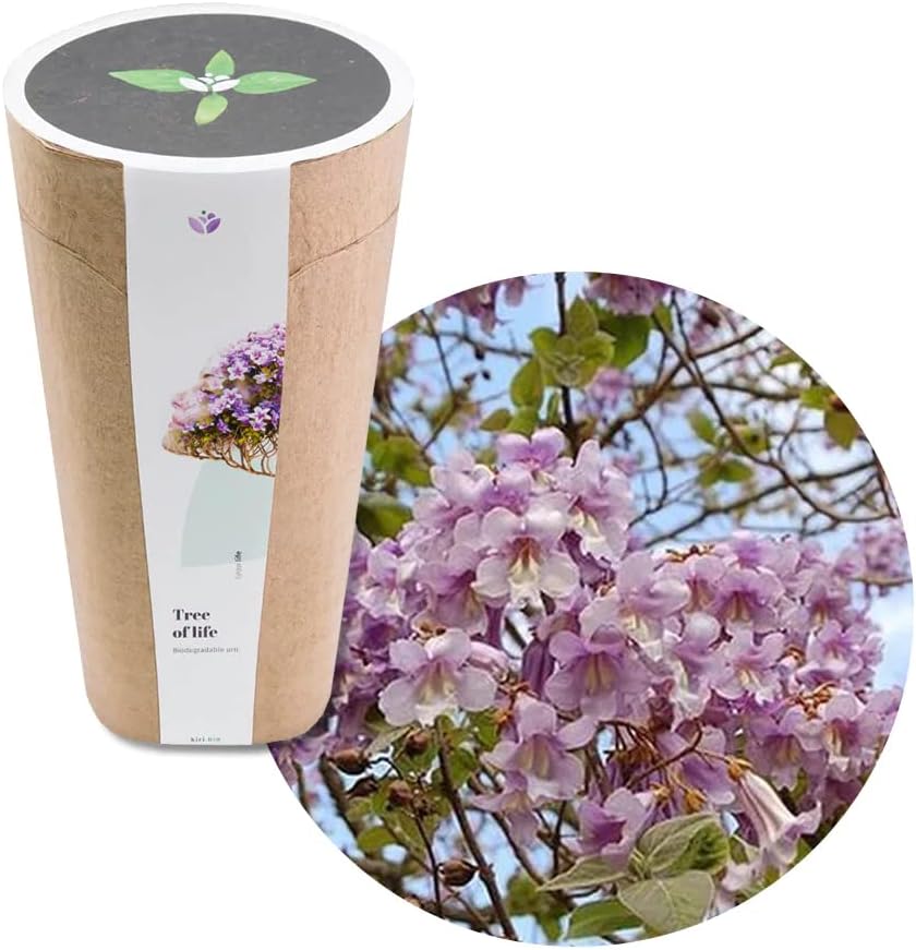 Amazon.com: Tree Urn - Biodegradable urn to Tree - Cremation Ashes Urn ...