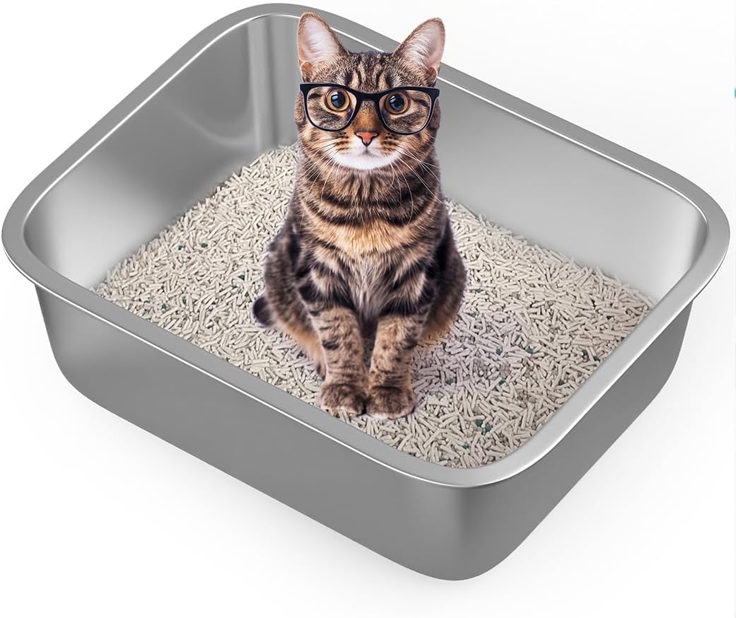 Amazon.com: Small Litter Box for Cat, Kitten and Rabbit, Stainless ...