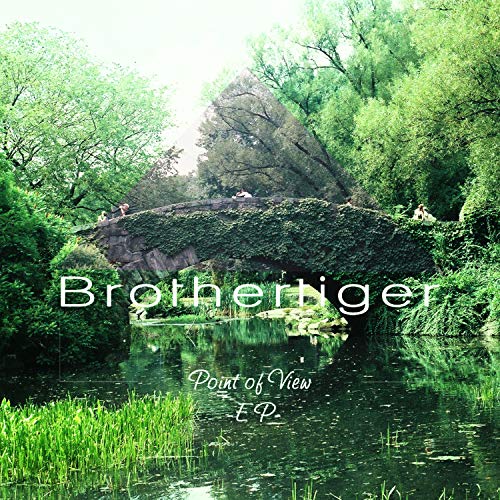 Amazon.com: Point of View EP : Brothertiger: Digital Music