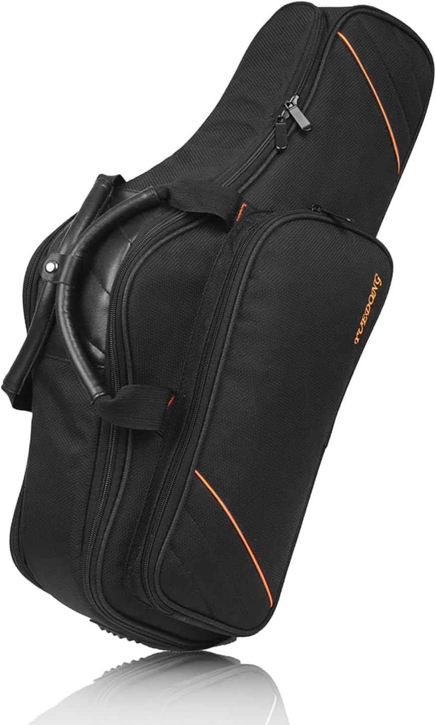 Amazon.com: Flexzion Alto Saxophone Case - Black, Oxford Cloth, 20mm ...