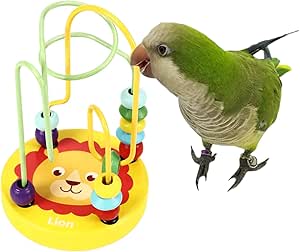 Amazon.com : MANON ROSA Bird Chewing Toy Colorful Wooden Bead Beak ...