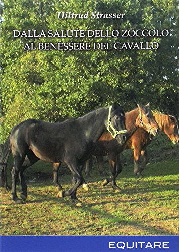↦ I 15 migliori libri sui cavalli (saggi e romanzi)