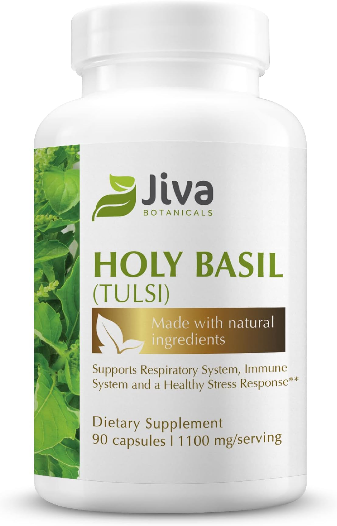 Amazon.com: Jiva Botanicals Holy Basil Capsules - Premium Tulsi Holy ...