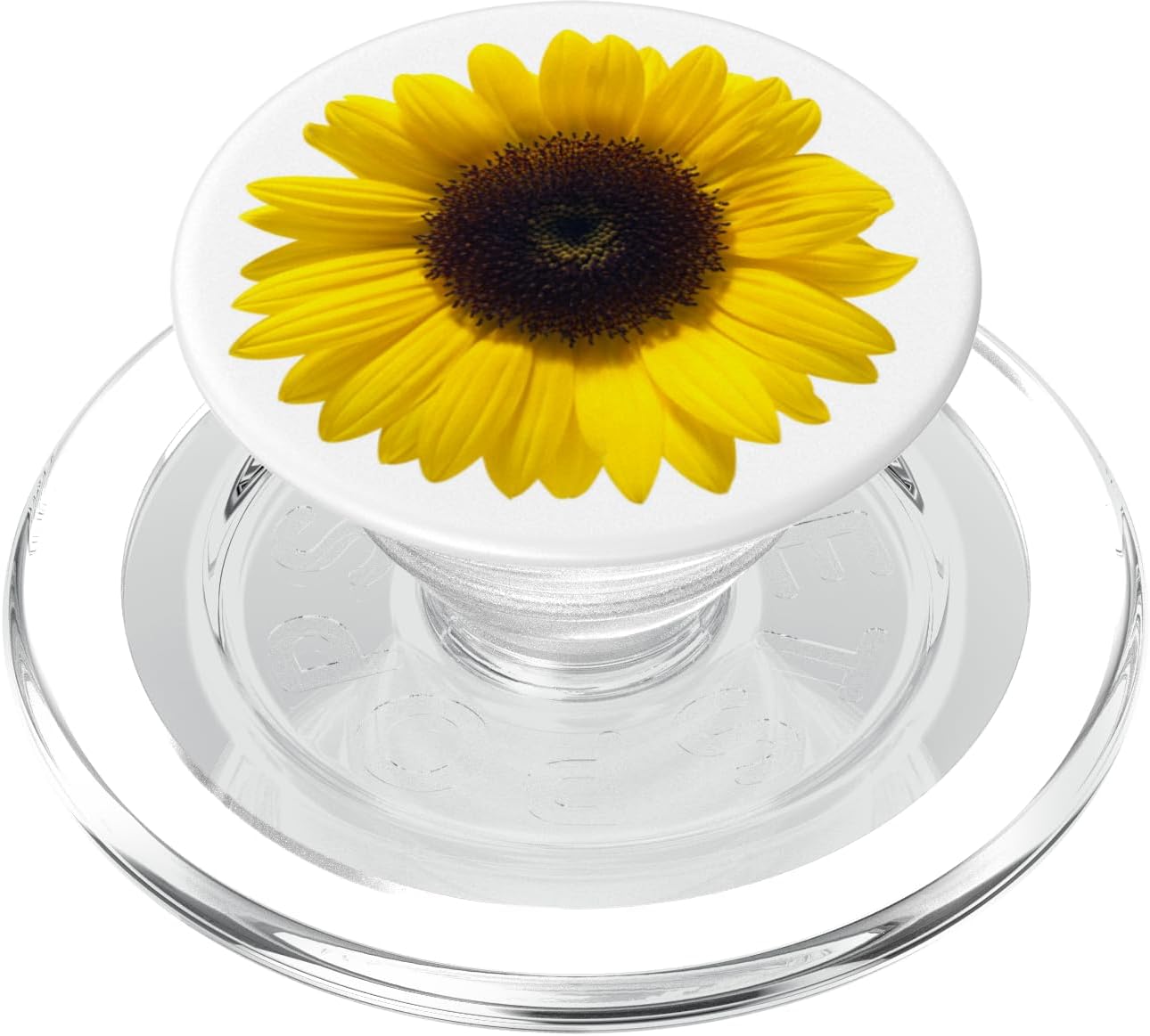 Amazon.com: Sunflower Sun Flower White Background PopSockets PopGrip ...