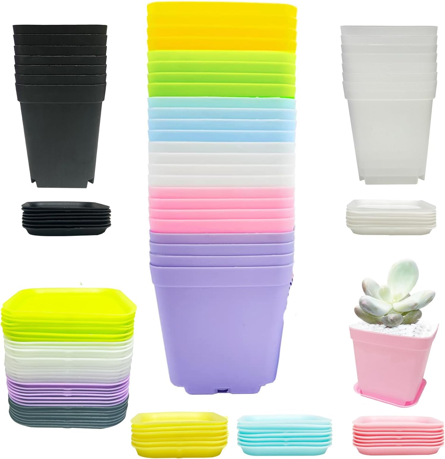 Amazon.com: Cshangzei 24 Pack 3 Inch Plastic Plant Pots,Seedling ...