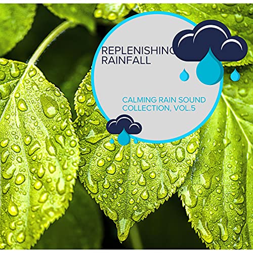 Replenishing Rainfall - Calming Rain Sound Collection, Vol.5 de VARIOUS ...