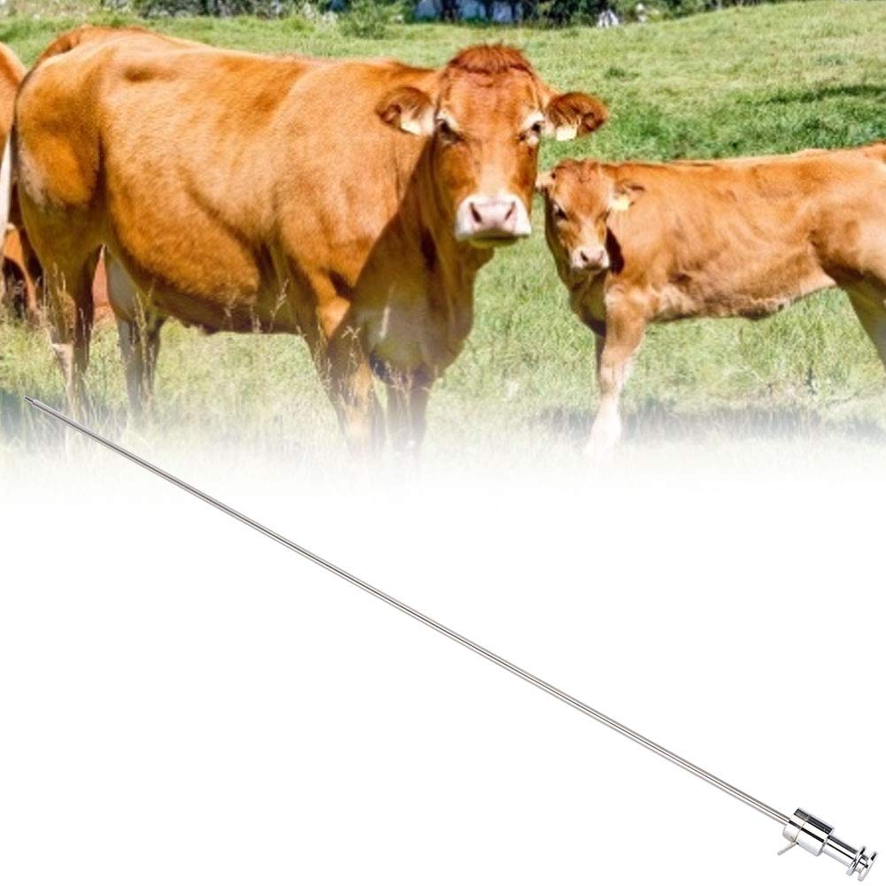 Bovine Insemination Pipe Indispensable Insemination Pipe Cattle ...