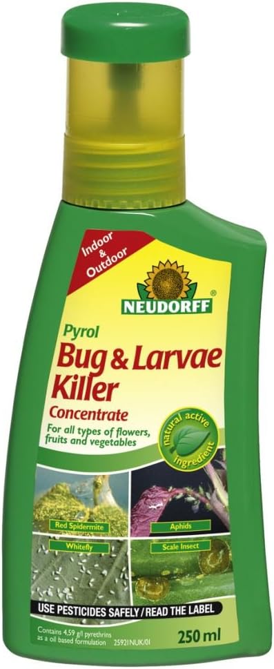 Neudorff 250 ml Pyrol Bug and Larvae Killer Concentrate : Amazon.co.uk ...