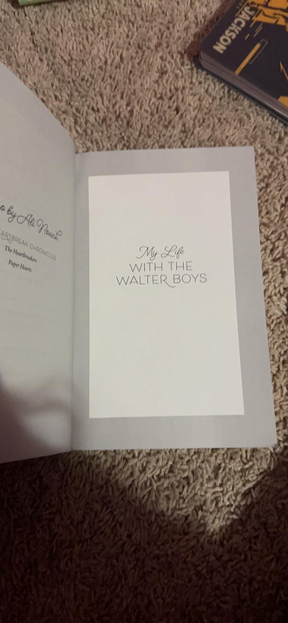 Amazon.com: My Life with the Walter Boys: 0760789246319: Ali Novak: Books