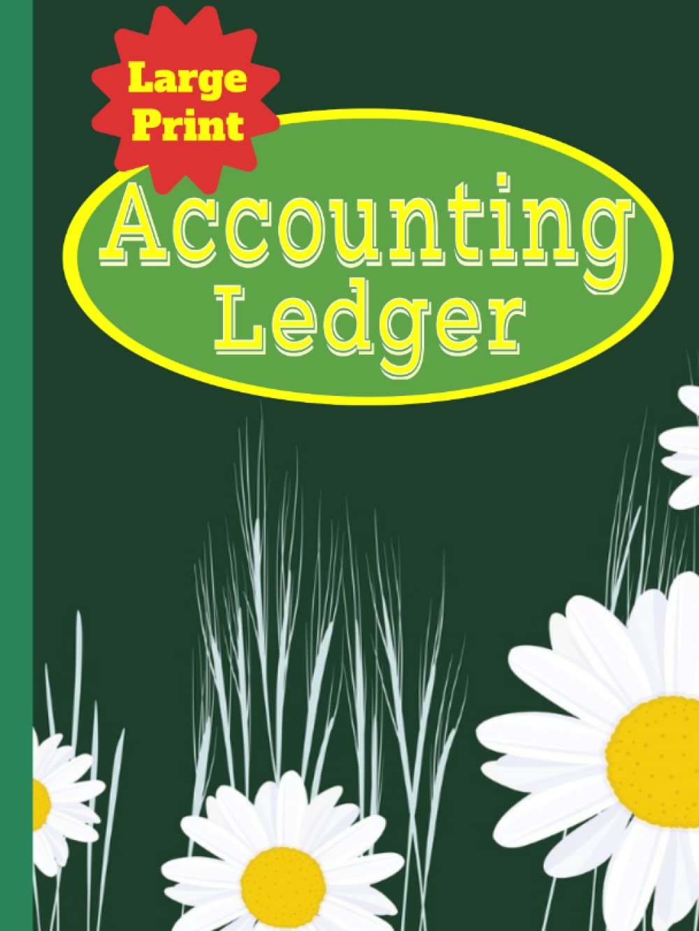 Large Print Accounting Ledger for Seniors: A Simple Income and Expenses ...