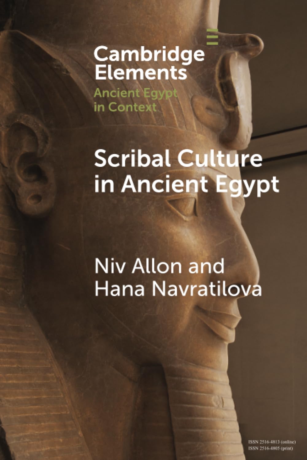 Amazon.com: Scribal Culture in Ancient Egypt (Elements in Ancient Egypt ...