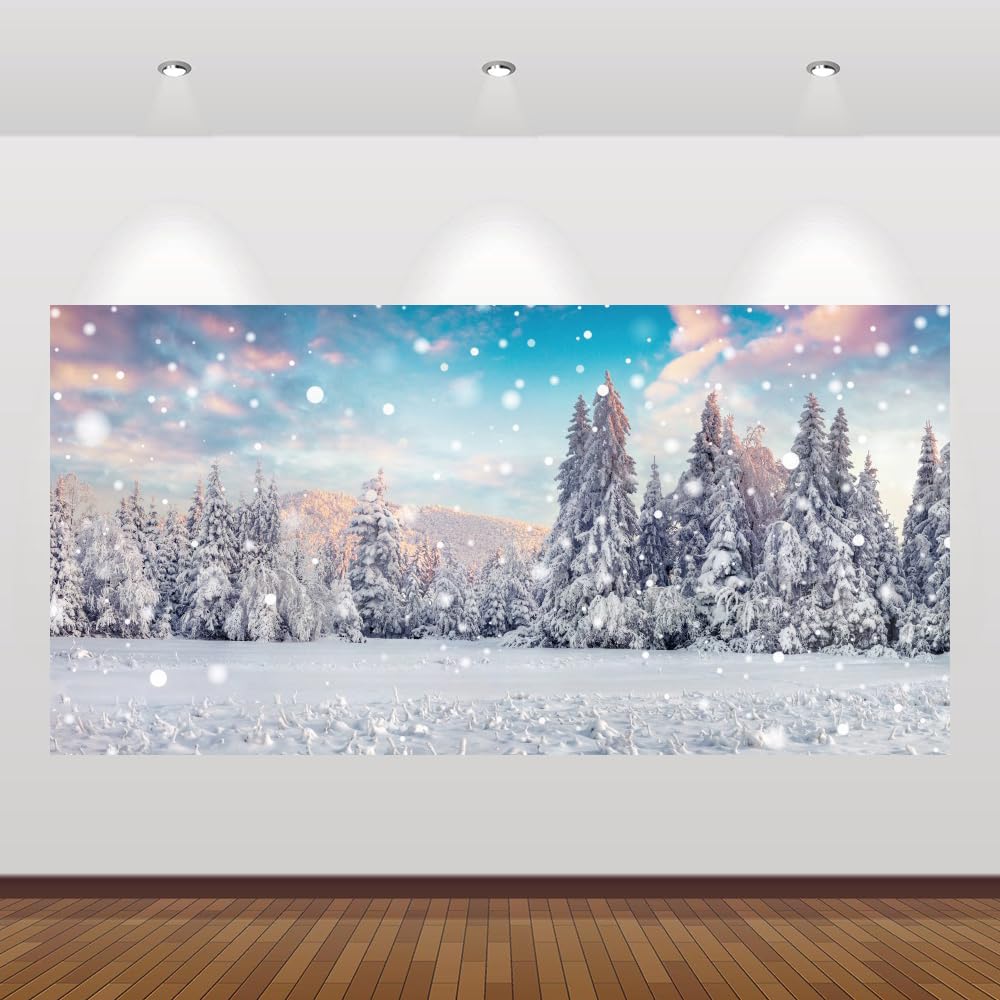 Amazon.com : Winter Forest Landscape Backdrop 20x10ft Vinyl Wonderland ...