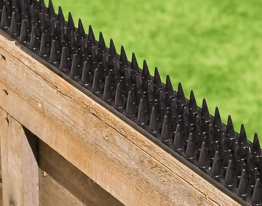 Primrose Fence Spikes - Cat Garden Wall Security Anti Climb Detterent ...