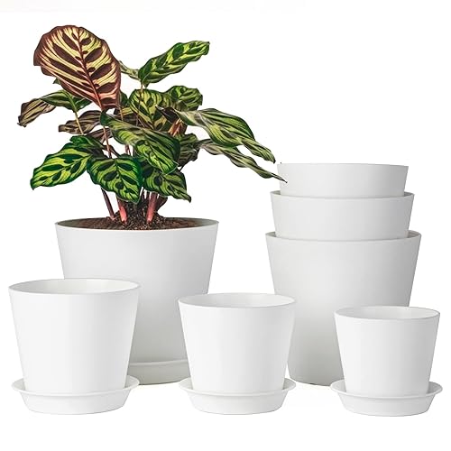 7+ Timeless Rustic Décor Ideas for a Farmhouse Living Room Ready for ...