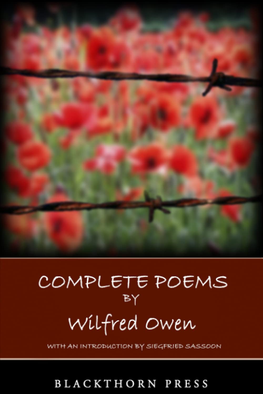 Complete Poems by Wilfred Owen: Owen, Wilfred: 9781906259372: Amazon ...