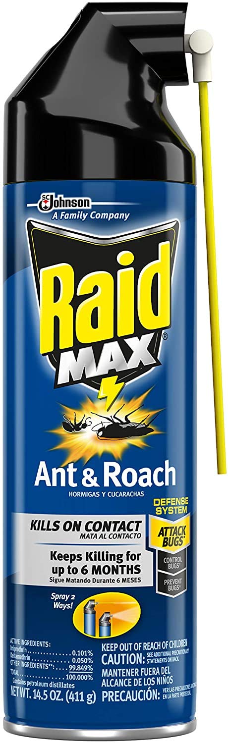 Raid Roach 4