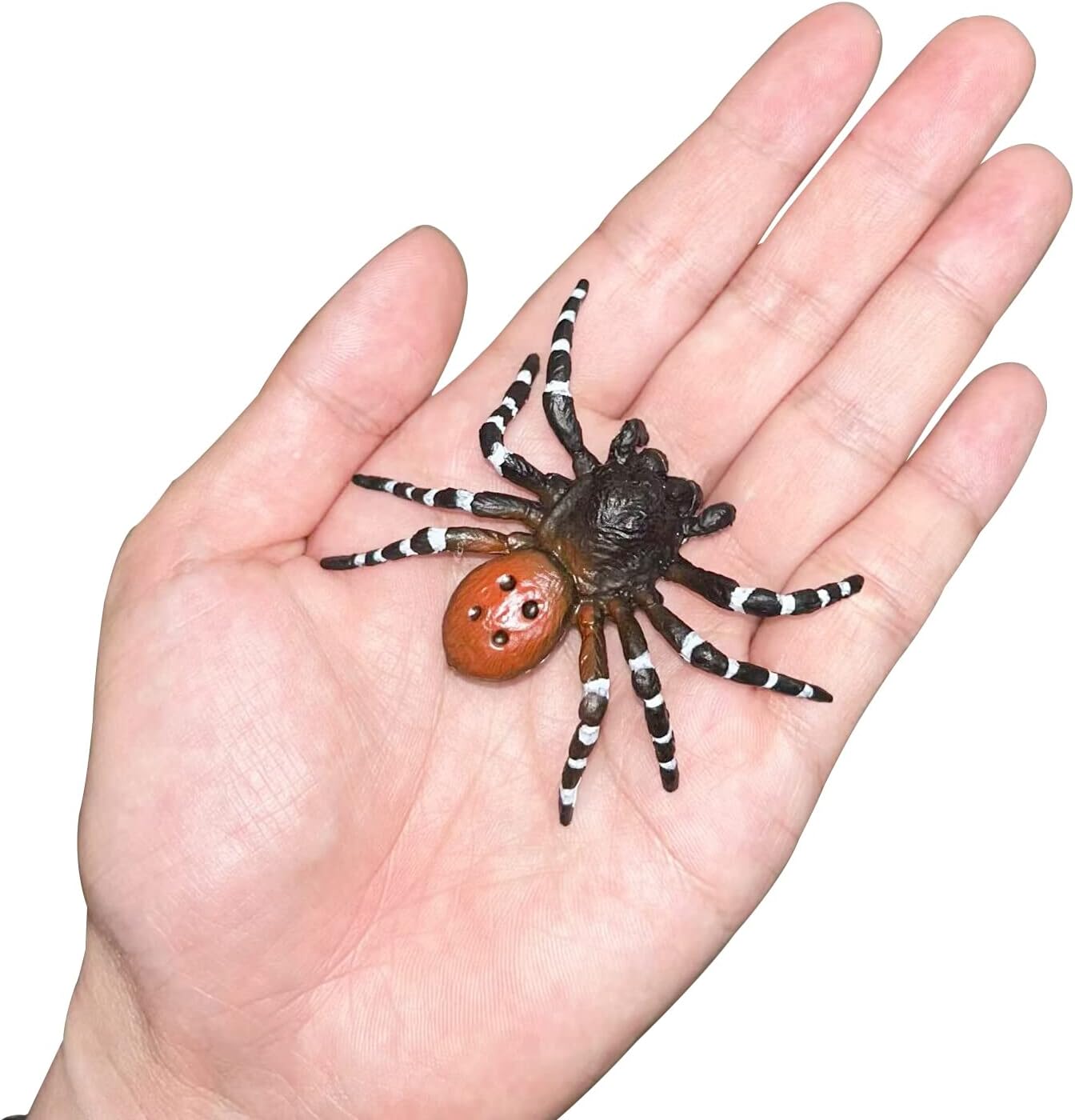 Amazon.com: RAXCONN Realistic Spider Action Model - Lifelike Insect ...