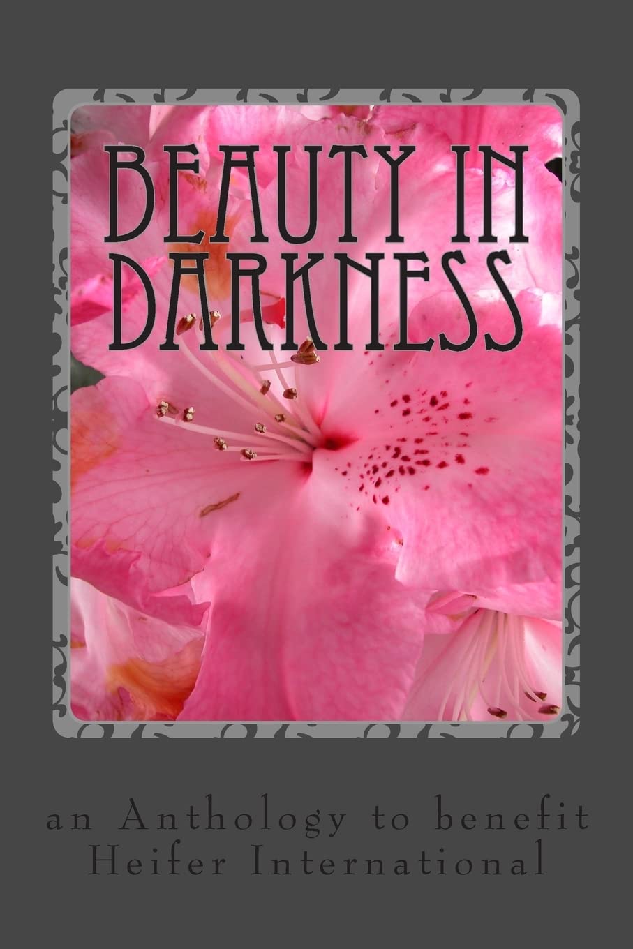 Beauty in Darkness: an Anthology to benefit Heifer International: Rabig ...
