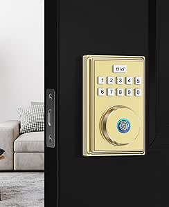 Fingerprint Door Lock, Keyless Entry Door Lock, Smart Front Door Lock ...
