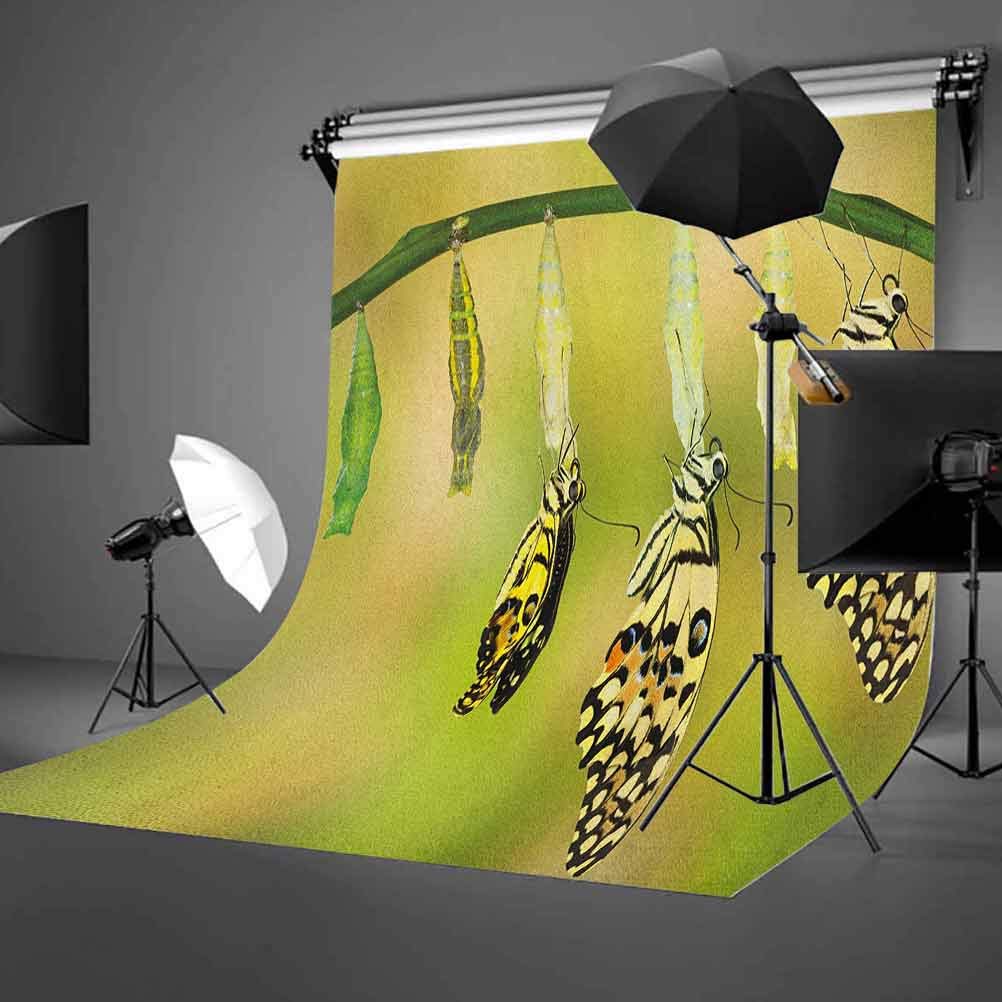 Buy 7x10 FT Swallowtail Butterfly Vinyl Photography Background ...