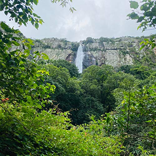 Mogwanti wa Sosha by MR. T . S.A. on Amazon Music - Amazon.co.uk